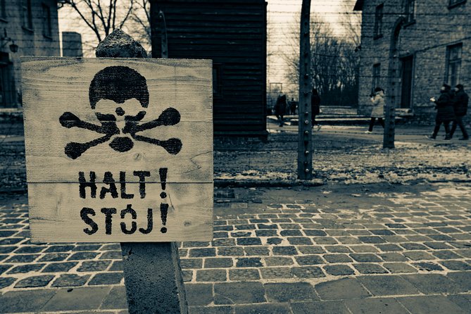 Auschwitz-Birkenau and Wieliczka Salt Mine Day Tour From Krakow With Private Car - Guided Experience and Headsets