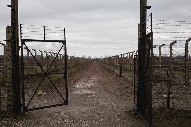 Auschwitz-Birkenau Best Value Shared Tour - Who Should Book This Tour?