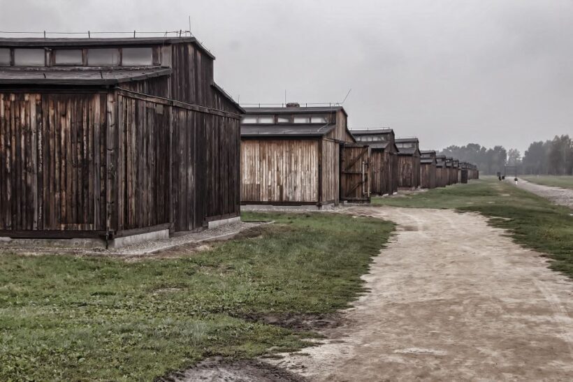 Auschwitz-Birkenau: Entrance Ticket and Live Tour Guide - What to Expect from the Auschwitz-Birkenau Tour