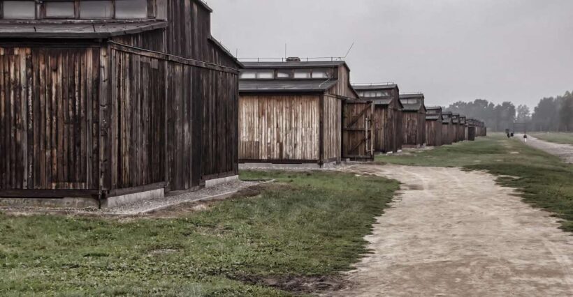Auschwitz-Birkenau: Entrance Ticket and Live Tour Guide - Final Thoughts