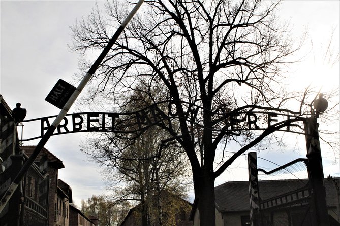 Auschwitz-Birkenau Guided Tour by Private Transport From Krakow - Traveler Reviews and Insights
