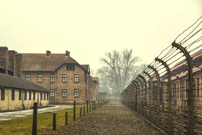 Auschwitz Birkenau Memorial and Museum Group Tour From Krakow - Historical Significance of the Site