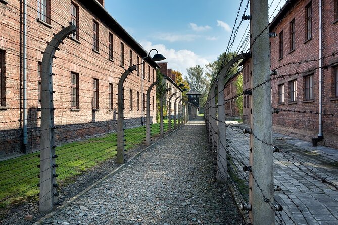 Auschwitz-Birkenau Memorial and Museum Guided Tour From Krakow - Highlights of the Auschwitz-Birkenau Memorial and Museum