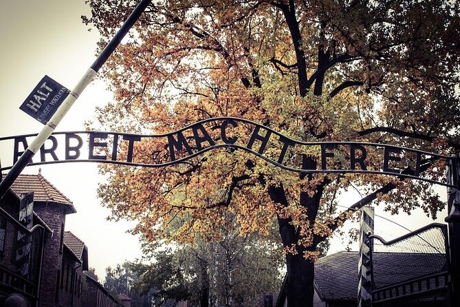 Auschwitz-Birkenau Memorial Entrance Ticket and Guided Tour - Recommendations and Tips