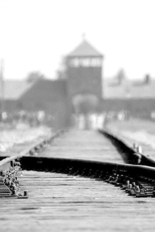 Auschwitz-Birkenau: Memorial Entry Ticket and Guided Tour - Introduction