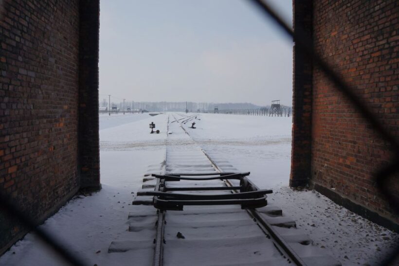 Auschwitz-Birkenau: Museum Entry Ticket with Guided Tour - Who Should Consider This Tour?