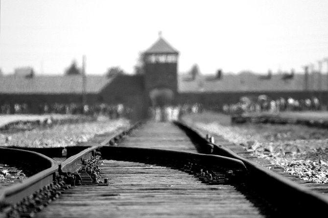 Auschwitz-Birkenau Museum Tour From Krakow - Tour Experience and Feedback