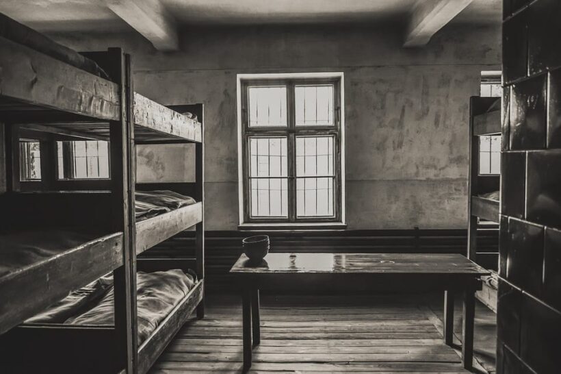 Auschwitz-Birkenau & Salt Mine Tour in One Day from Krakow - Key Points