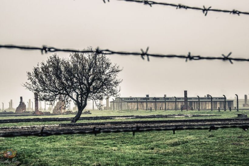 Auschwitz-Birkenau: Skip-the-Line Entry Ticket & Guided Tour - Auschwitz-Birkenau: Skip-the-Line Entry Ticket & Guided Tour