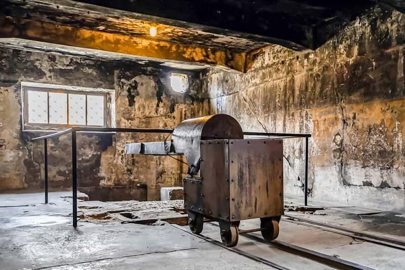 Auschwitz-Birkenau Skip-the-Line Guided Tour - Key Points