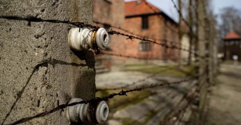 Auschwitz-Birkenau Skip-the-Line Ticket and Guided Tour - Who Will Benefit Most from This Tour?