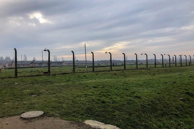 Auschwitz - Birkenau Tour with Private Transport from Krakow - Who Will Benefit Most?