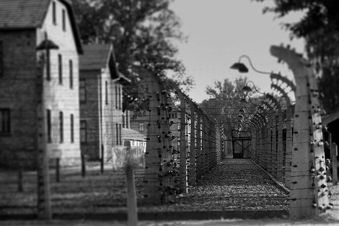 Auschwitz Birkenau Transfer and Guide With Salt Mine Combo Option - The Sum Up