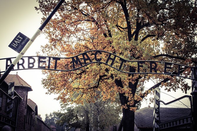 Auschwitz Private Tour - Accessibility and Special Requirements
