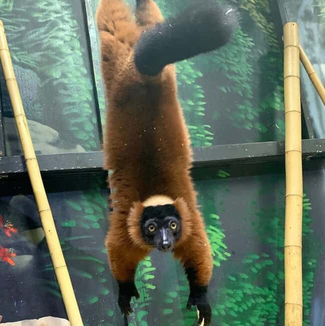 Austin Aquarium Entry Ticket - An In-Depth Look at the Austin Aquarium Experience