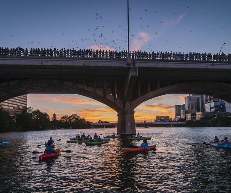 Austin: Congress Avenue Sunset Bat Kayaking Tour - Educational Insights