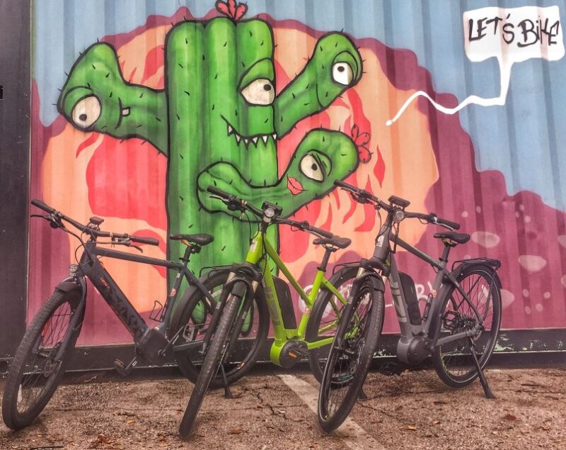 Austin: Electric Bike City Sightseeing Tour - Key Points