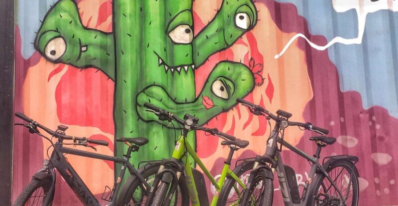 Austin: Electric Bike City Sightseeing Tour - Who Will Love This Tour