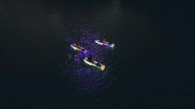 Austin: Glow Paddleboard Tour - Key Points