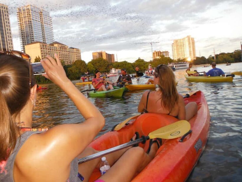 Austin: Guided Bat-Watching Kayak Tour - Key Points