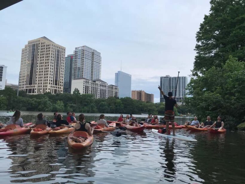 Austin: Guided Bat-Watching Kayak Tour - The Experience in Detail