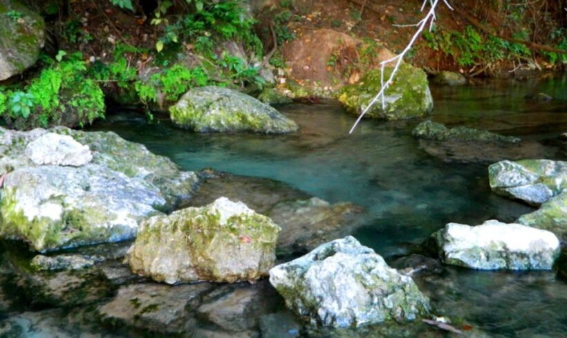 Austin: Journey to the Springs Guided Tour - Practical Aspects and Value
