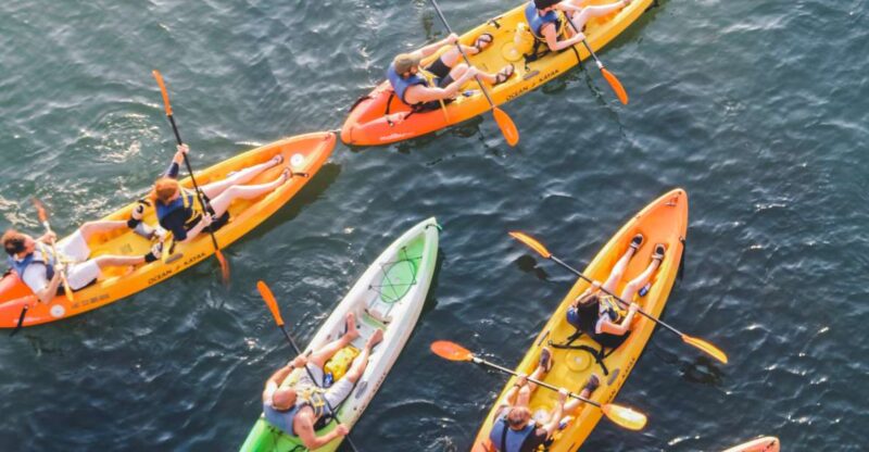 Austin: Single or Double Kayak Rental - What Makes This Kayak Rental Stand Out?
