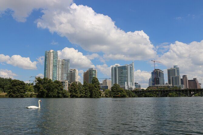 Austin Skyline Kayak Tour - The Guides and Customer Experience