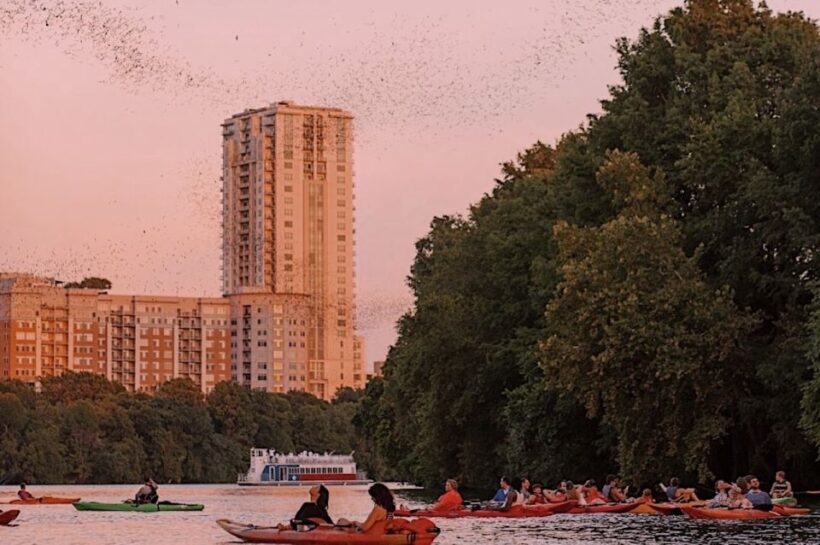 Austin: Sunset Bat Watching Kayak Tour - Setting the Scene: Why Kayaking for Bat Sightings?