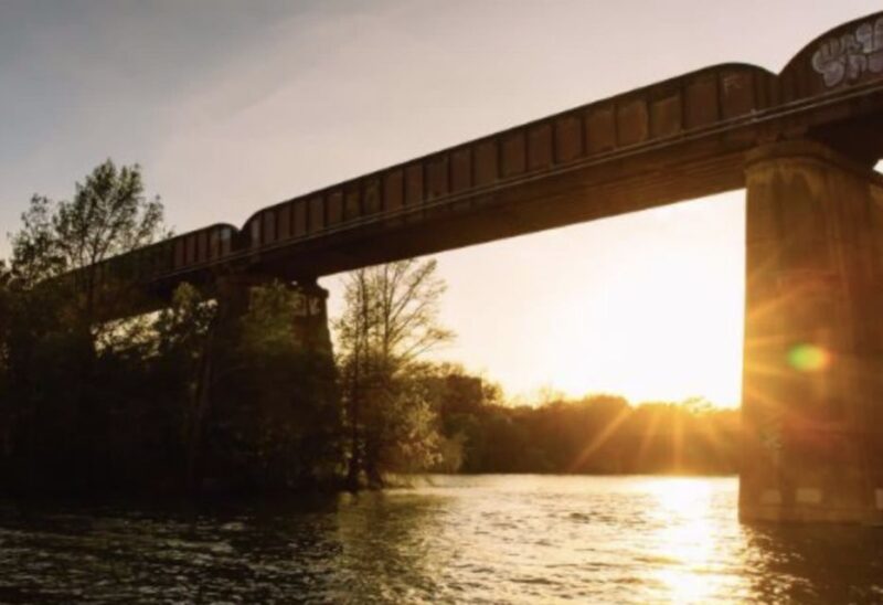 Austin: Sunset Boat Cruise with Bat Watching - Who Will Love This Tour?