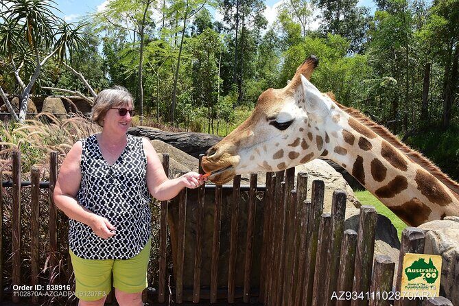 Australia Zoo Day Trip from Brisbane - Real Travelers’ Feedback