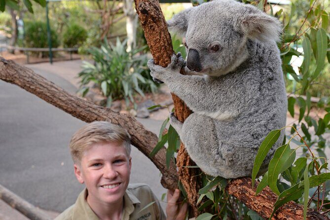 Australia Zoo Day Trip from Brisbane - The Sum Up: Is It Worth It?