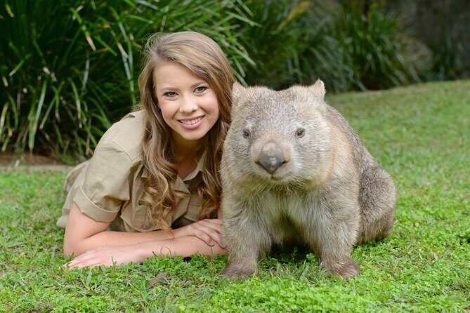 Australia Zoo Day Trip from Noosa /Sunshine Coast Region - Key Points