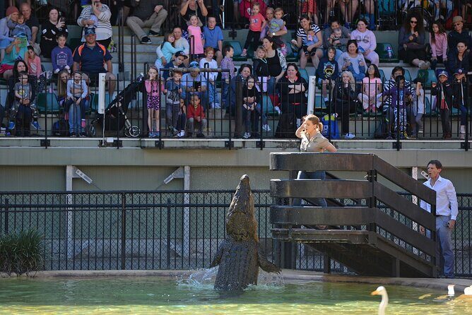 Australia Zoo Day Trip from Noosa /Sunshine Coast Region - Practicalities and Value