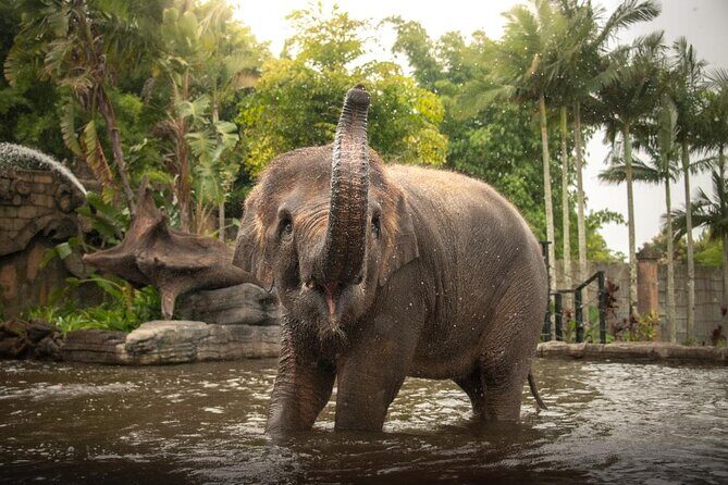 Australia Zoo Private Group Tour from Brisbane - Introduction