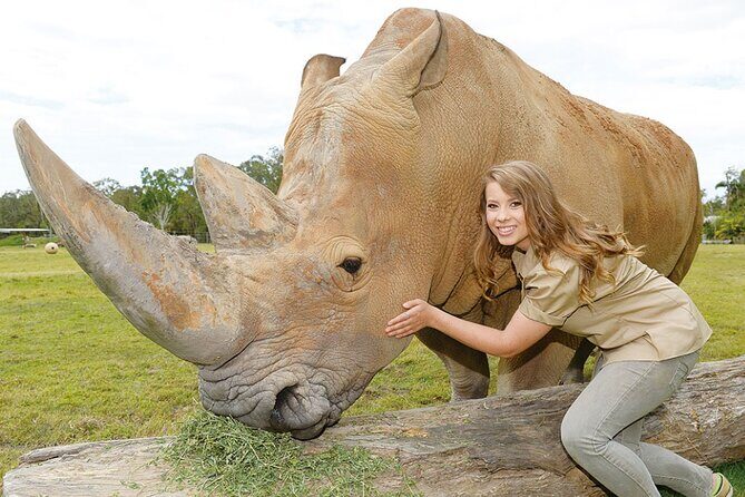 Australia Zoo Transfer from Noosa and Sunshine Coast - The Value of the Tour