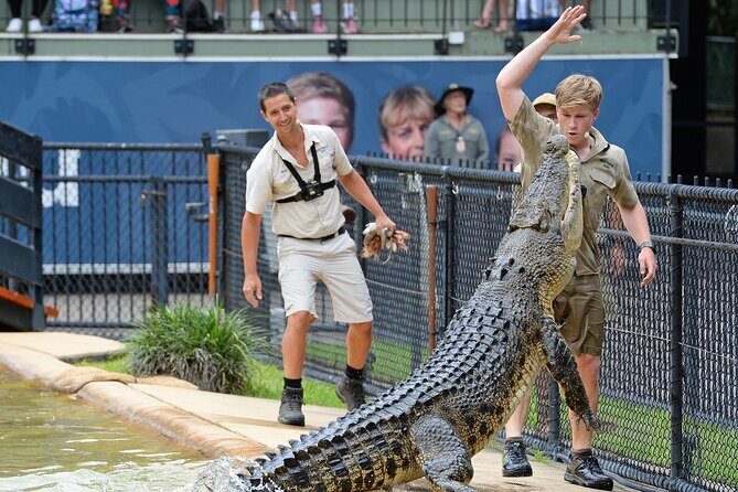 Australia Zoo Transfer from Noosa and Sunshine Coast - Final Thoughts