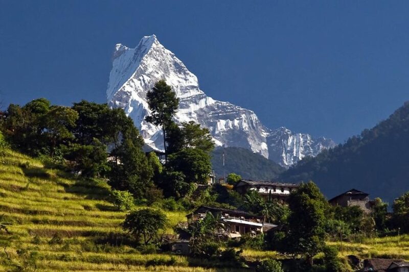 Australian Base Camp Day Hike From Pokhara - What Makes This Tour a Great Choice