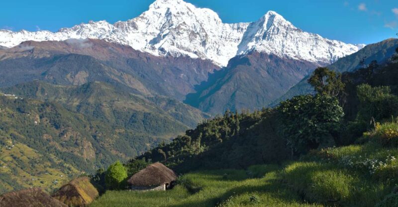 Australian Base Camp Day Hike From Pokhara - The Experience of the Guides