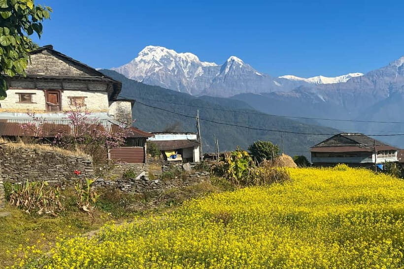 Australian Camp & Dhampus: 2-Day Private Trekking Tour - Exploring the Itinerary: What You Can Expect