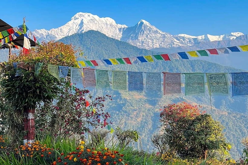Australian Camp & Dhampus: 2-Day Private Trekking Tour - Meals and Accommodations