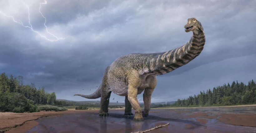 Australian Dinosaur Giants Tour - The Experience in Detail