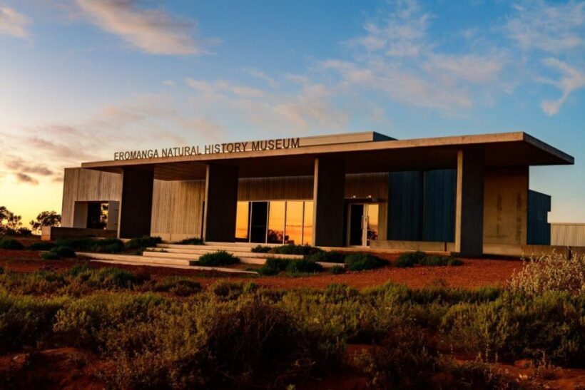 Australian Dinosaur Giants Tour - Who Will Love This Tour?