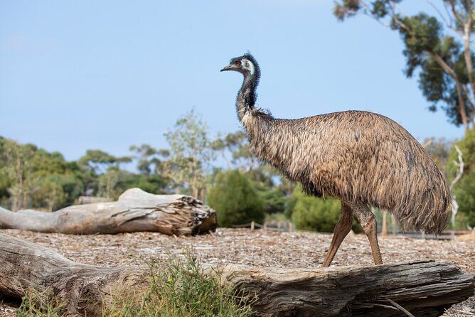 Australian Experience at Werribee Open Range Zoo - excl. entry - FAQs