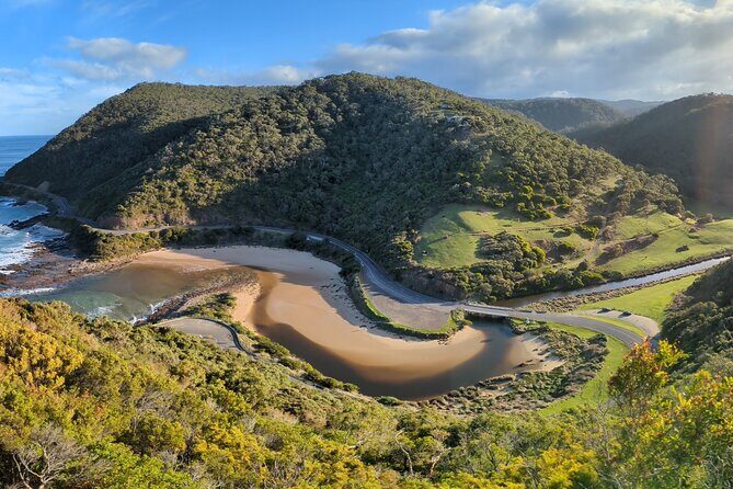 Australian Wine Discovery Tour Ticket - Who Should Consider This Tour?