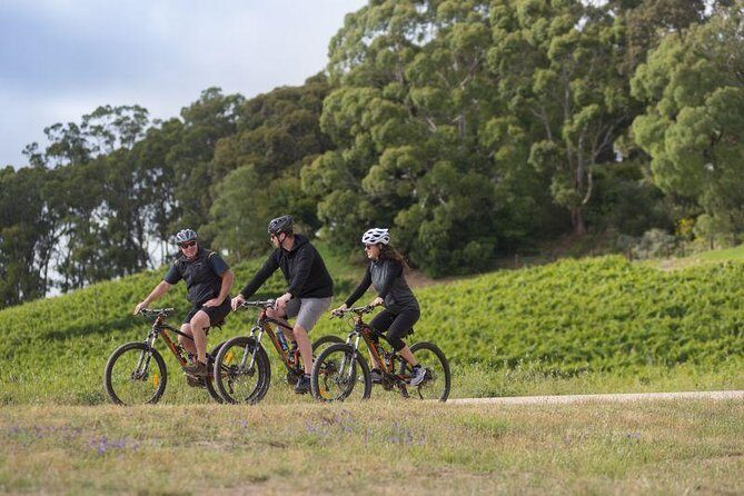 Australian Wine Discovery Tour Ticket - FAQ: Your Practical Questions Answered