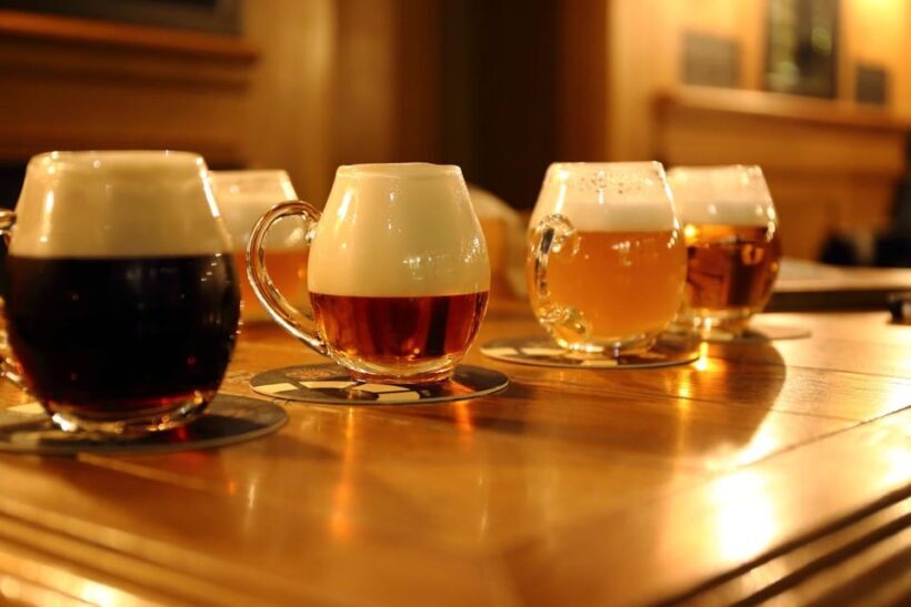 Austrian Beer Tasting and Self-Guided Tour of Vienna - Who Is This Tour Best For?