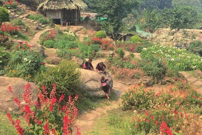 Authentic Chiang Mai Lifestyle Guided Tour - The Value of Guided Insight and Convenience