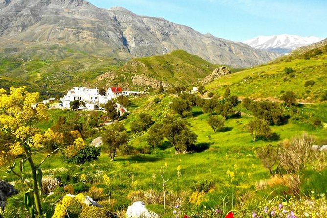 Authentic Crete Heart of the island - Authentic Experiences and Local Hospitality