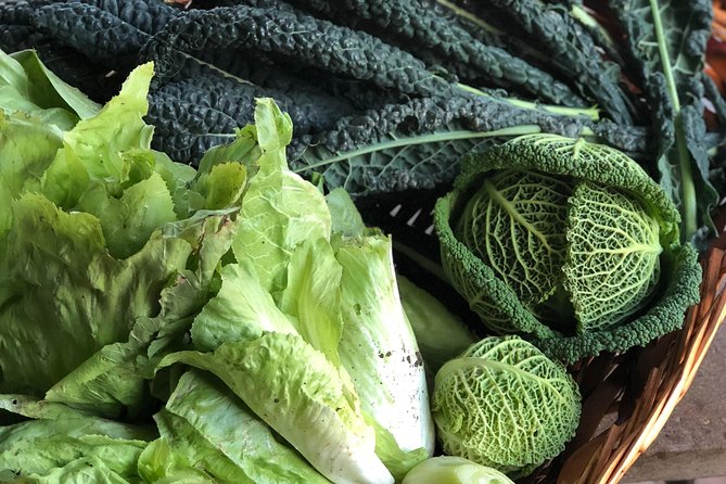 Authentic Culinary Experience in a Tuscan Family Estate - Guest Experiences and Reviews